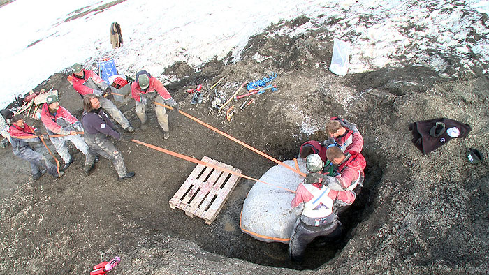 Predator X (2009) | ČSFD.cz