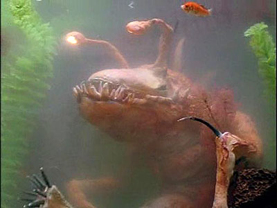 Metamorphosis: The Alien Factor (1990) | ČSFD.cz