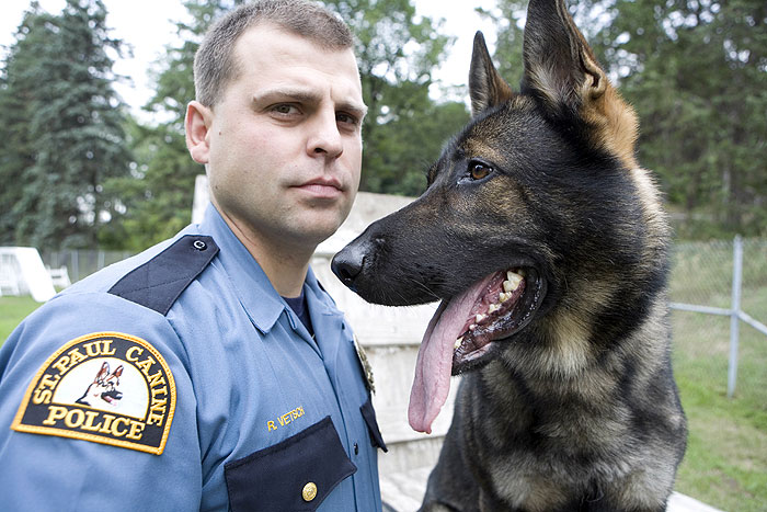 Služební psi: Seznamte se s elitou (2008) | ČSFD.cz