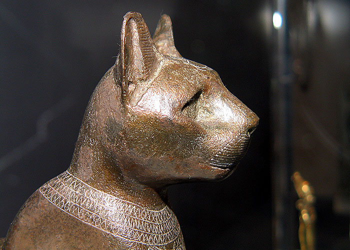 Posvátná zvířata faraonů (2006) | Galerie - Z filmu | ČSFD.cz