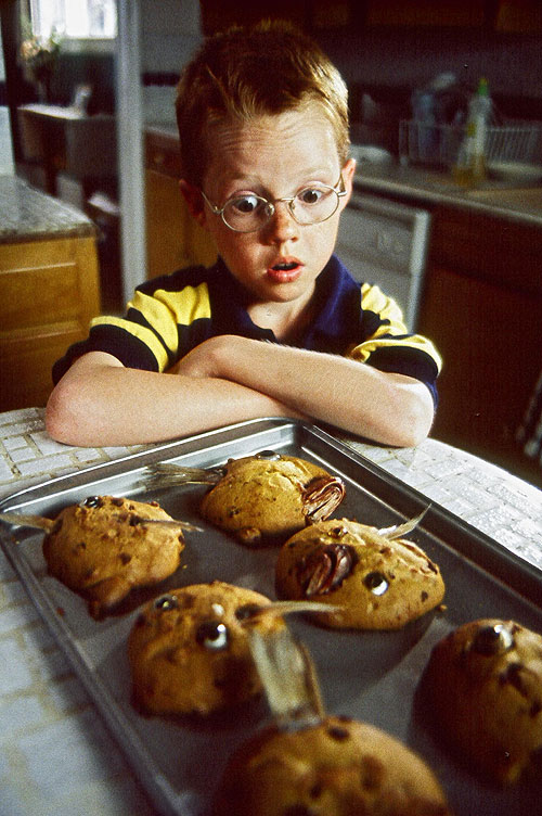 Bug Off! (2001) | ČSFD.cz