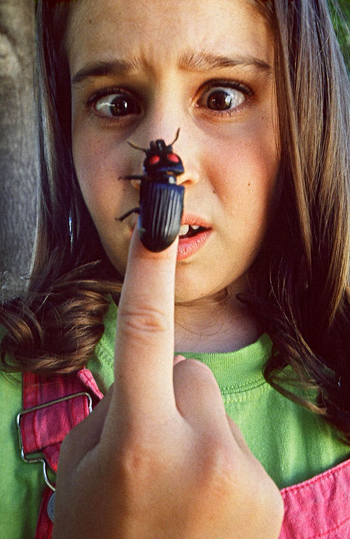 Bug Off! (2001) | ČSFD.cz