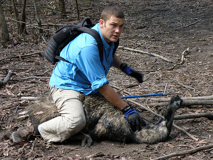 Venom Hunter with Donald Schultz (2010) | ČSFD.cz