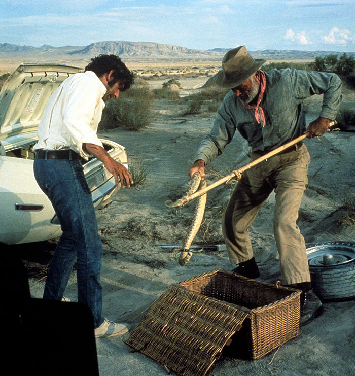 Znikający punkt (1971) | Ciekawostki - Ciekawostki | ČSFD.cz