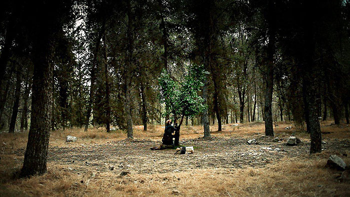 Overture (2011) | ČSFD.cz