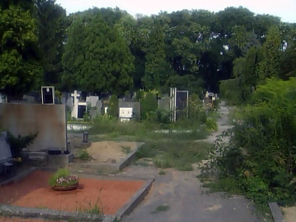 Andělé (1998) | ČSFD.cz