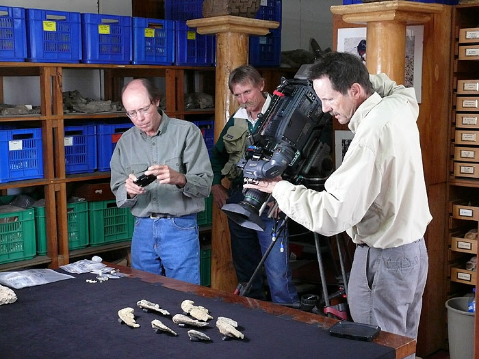 Objevení Ardi (2009) | ČSFD.cz