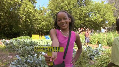 Urban Roots (2011) | ČSFD.cz