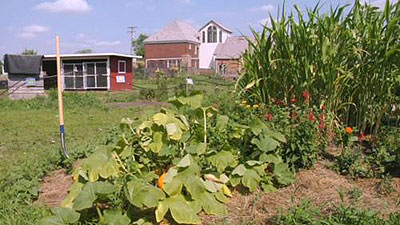 Urban Roots (2011) | ČSFD.cz