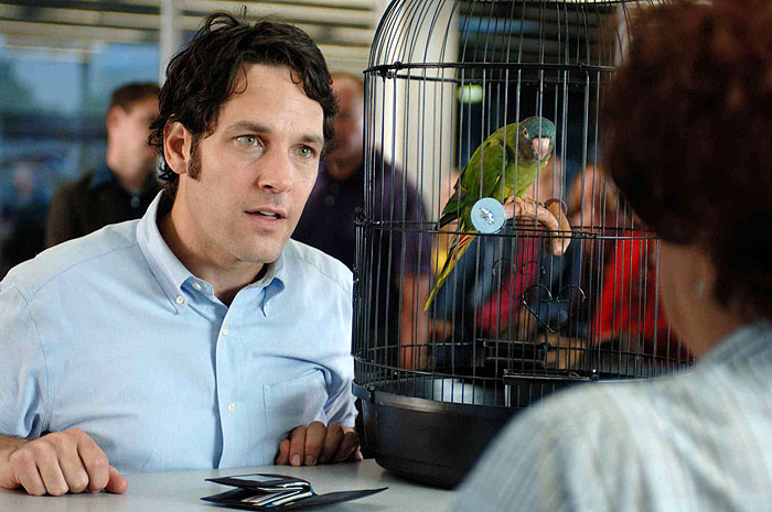 Tá mrcha nedá pokoj! (2008) | Recenzie - Požívateľské | ČSFD.sk