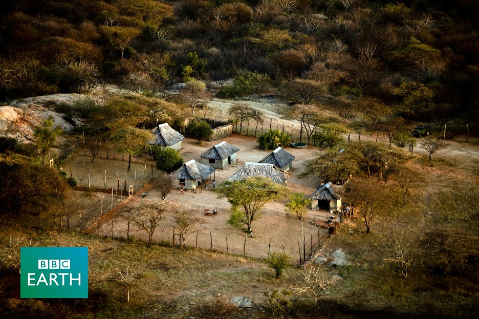 Svět přírody - Elsa - lvice, která změnila svět (S29E10) (2011) | ČSFD.cz