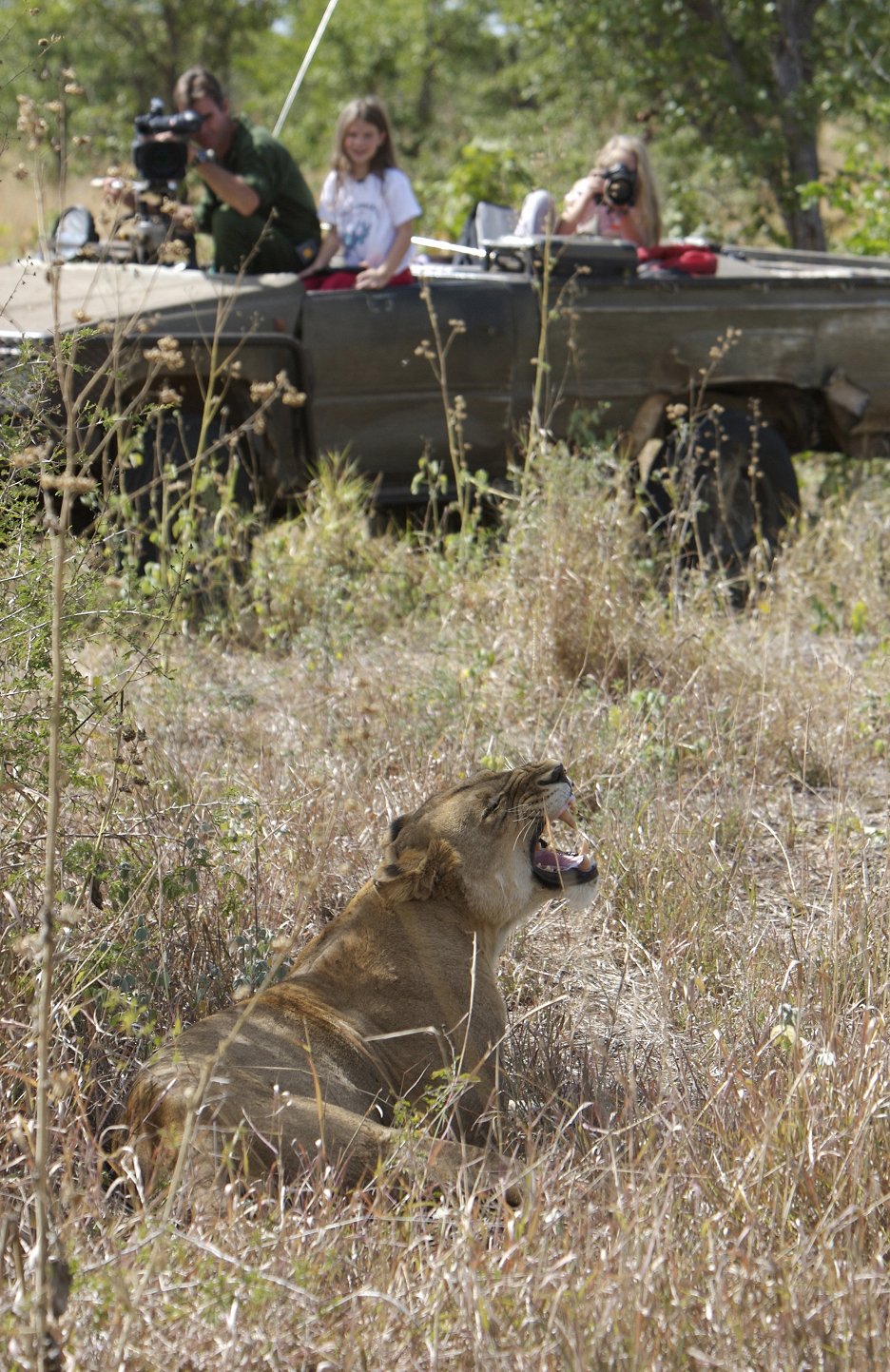 Sestry ze savany (2009) | ČSFD.cz