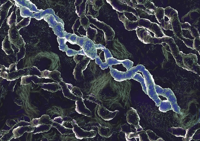 How to Build a Human (2001) | ČSFD.cz