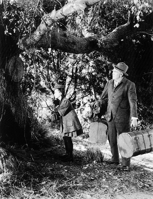 Three Wise Fools (1946) | ČSFD.cz