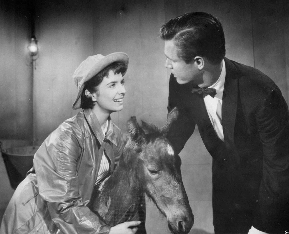 Glory (1956) | ČSFD.cz