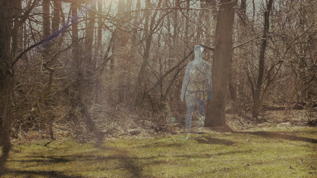 Salience (2013) | ČSFD.cz