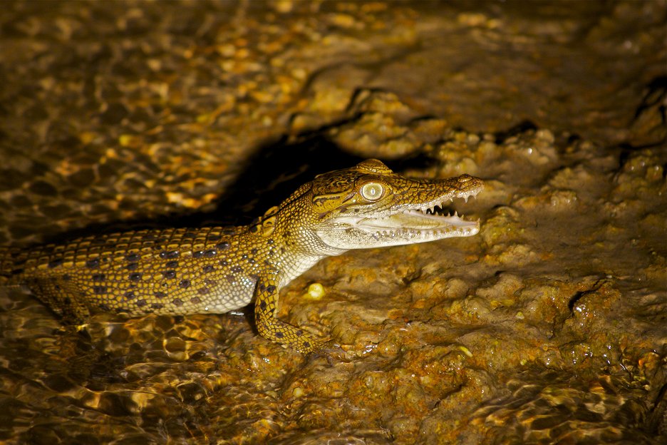 Velký bariérový útes (2012) | Galerie - Ze seriálu | ČSFD.cz