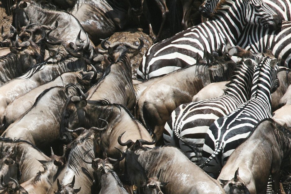 Krvavá řeka (2013) | ČSFD.cz