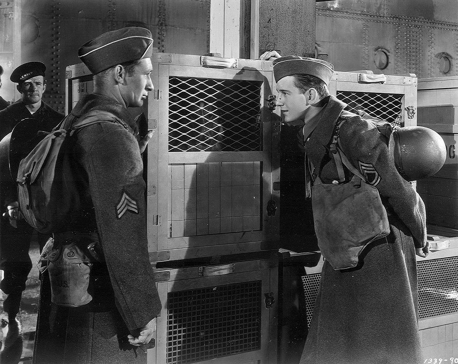 Odvážná Lassie (1946) | ČSFD.cz