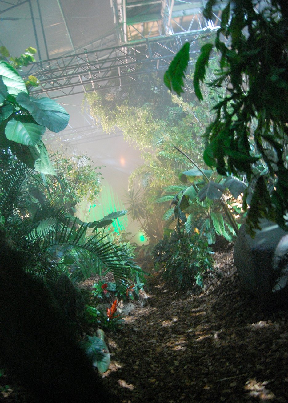 Rooftop Rainforest (2011) | ČSFD.cz