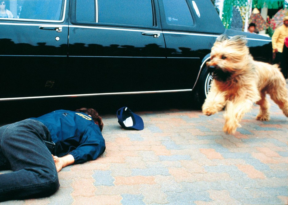 Top Dog (1995) | ČSFD.cz