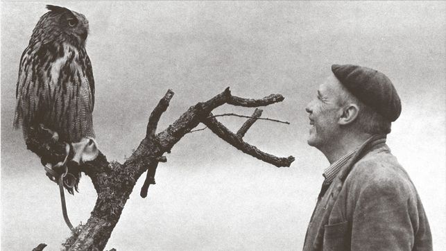 Nevinní svatí (1984) | ČSFD.cz