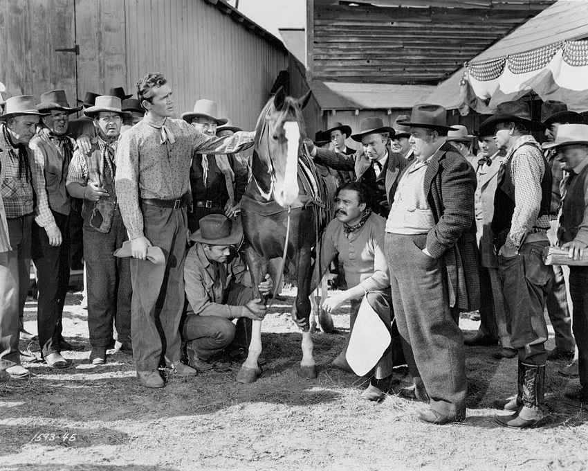 Calamity Jane and Sam Bass (1949) | ČSFD.cz