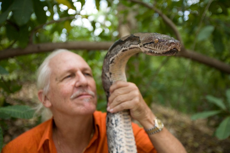 Dračí kronika s Romulem Whitakerem (2008) | ČSFD.sk
