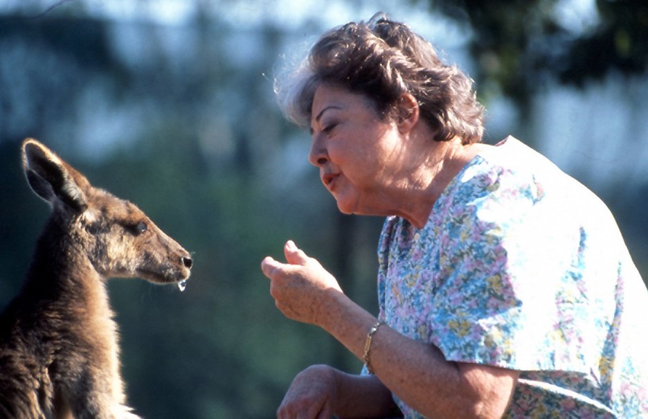 Skippy (1968) | ČSFD.cz