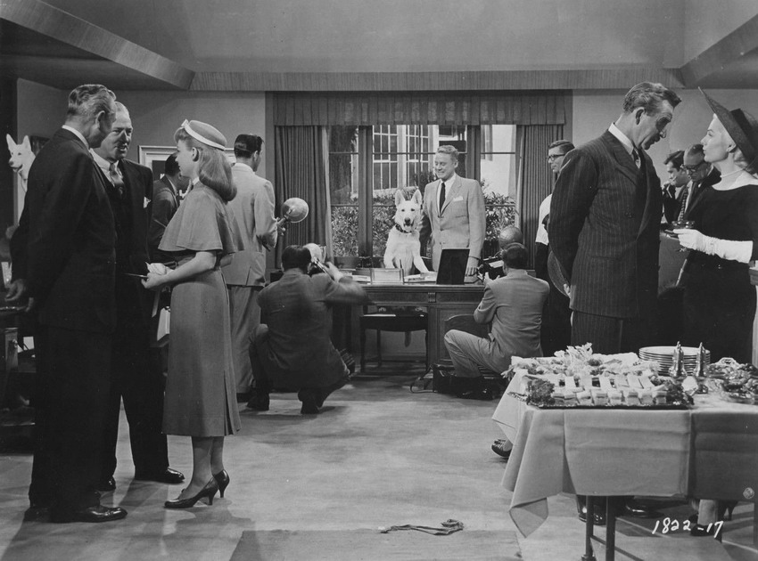 Kelly and Me (1957) | ČSFD.cz