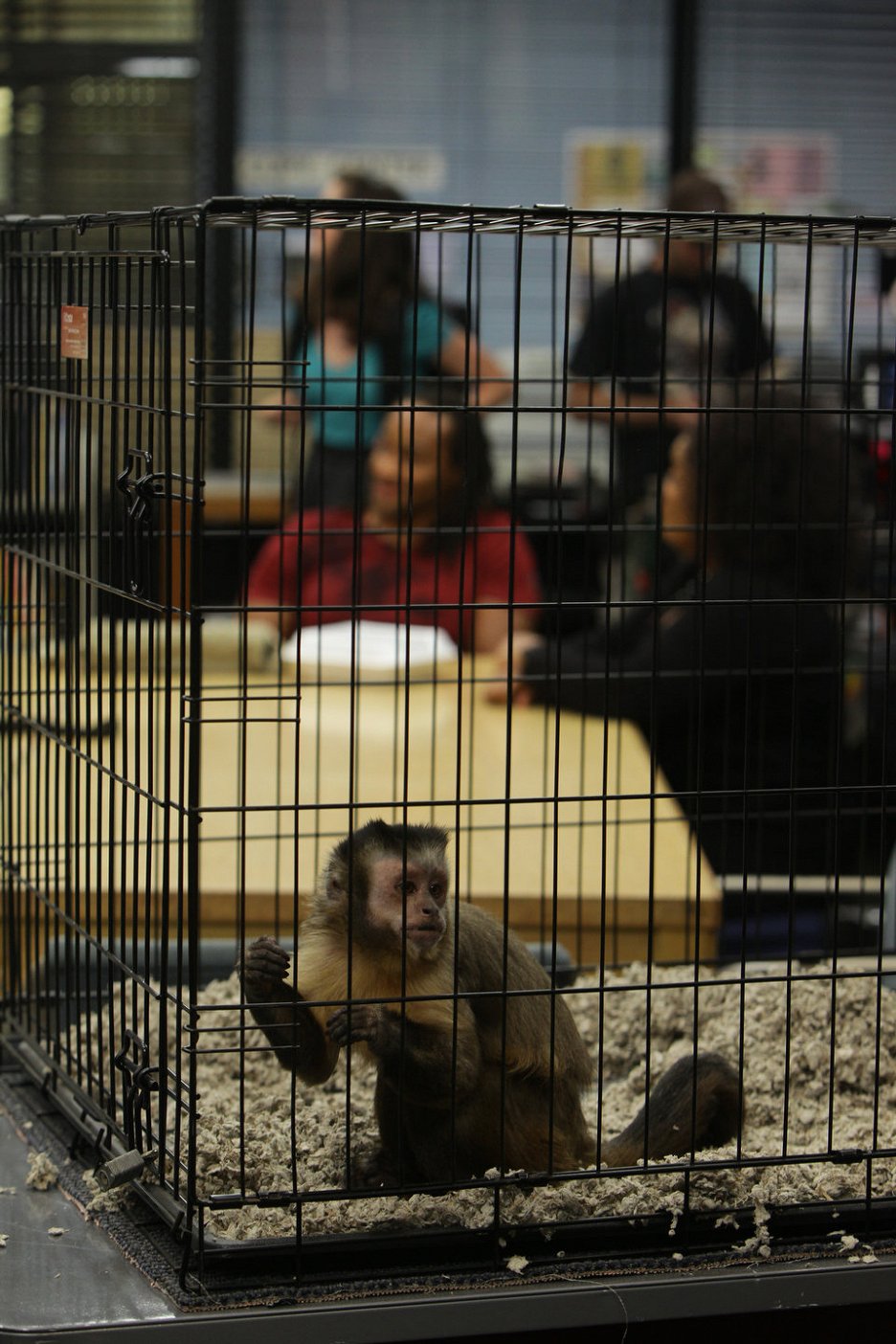 Community - Contemporary American Poultry (S01E21) (2010) | Facts ...