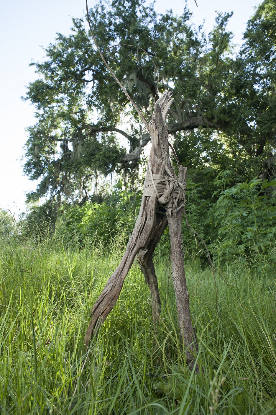 Temný případ - Pusto a prázdno (S01E08) (2014) | ČSFD.cz