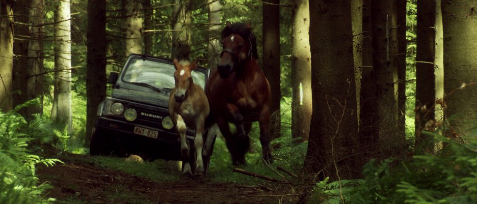 Pom, le poulain (2005) | ČSFD.cz