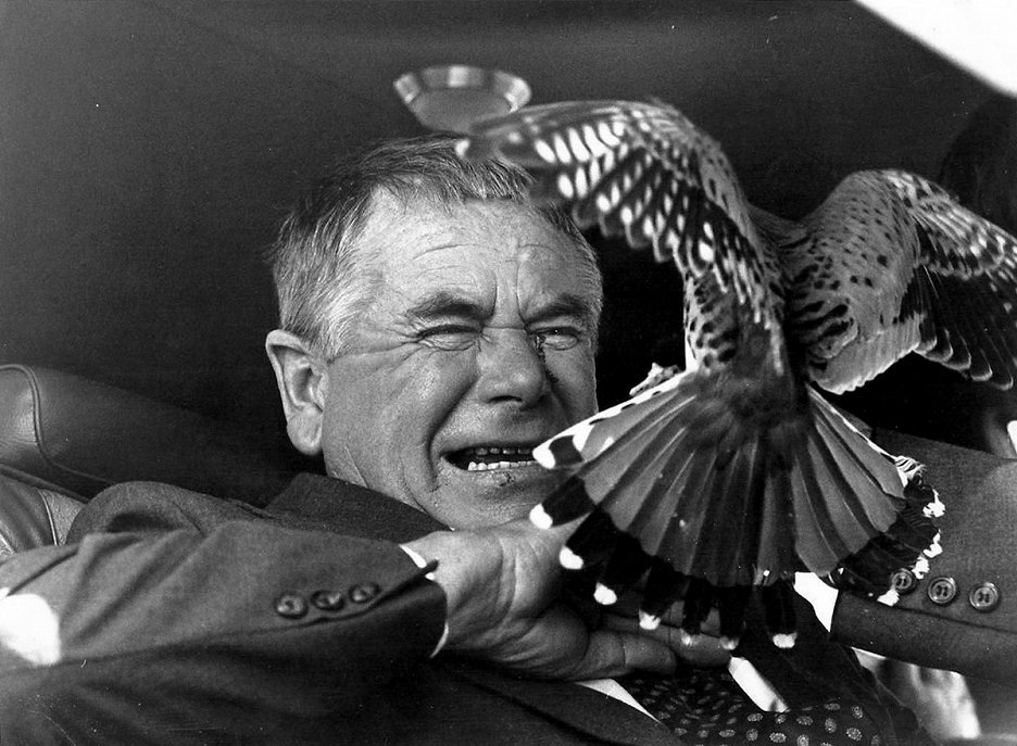 The Visitor (1979) | ČSFD.cz