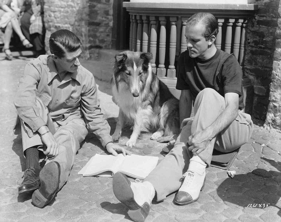 Fred M. Wilcox | ČSFD.cz