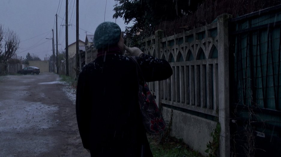 Ma fleur maladive (2013) | ČSFD.cz