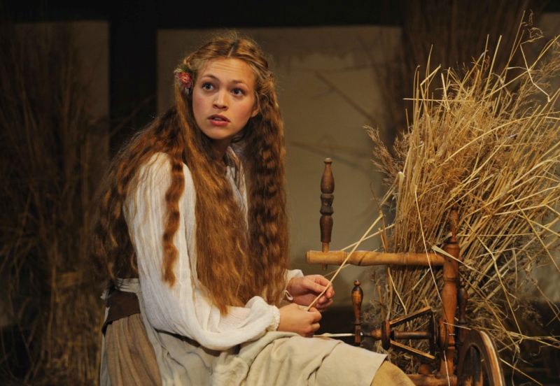 Rozprávky bratov Grimmovcov: Zlatá priadka (2009) | ČSFD.sk