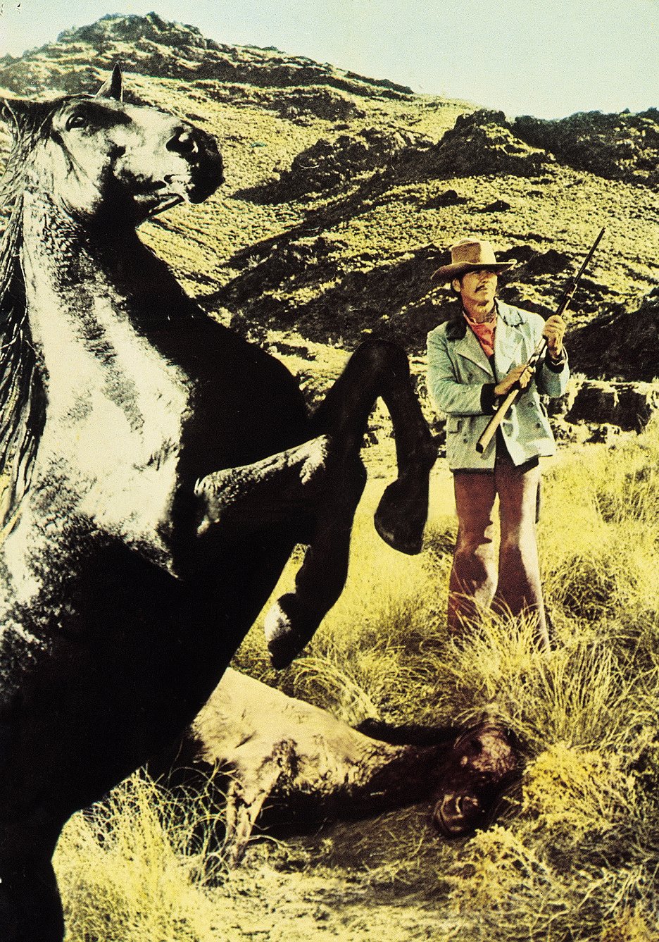 Chino (1973) | Recenze - Uživatelské | ČSFD.cz