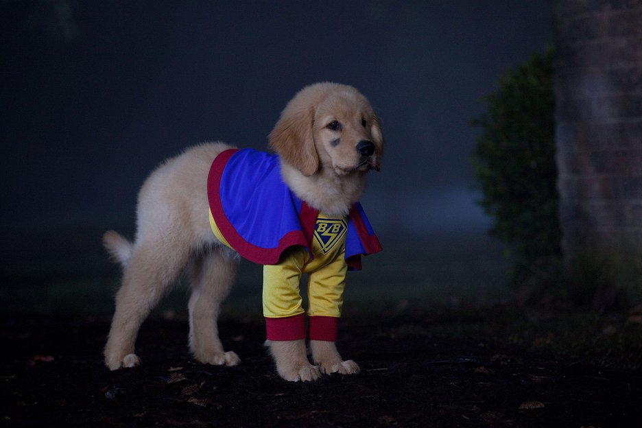 Spooky Buddies (2011) | ČSFD.cz