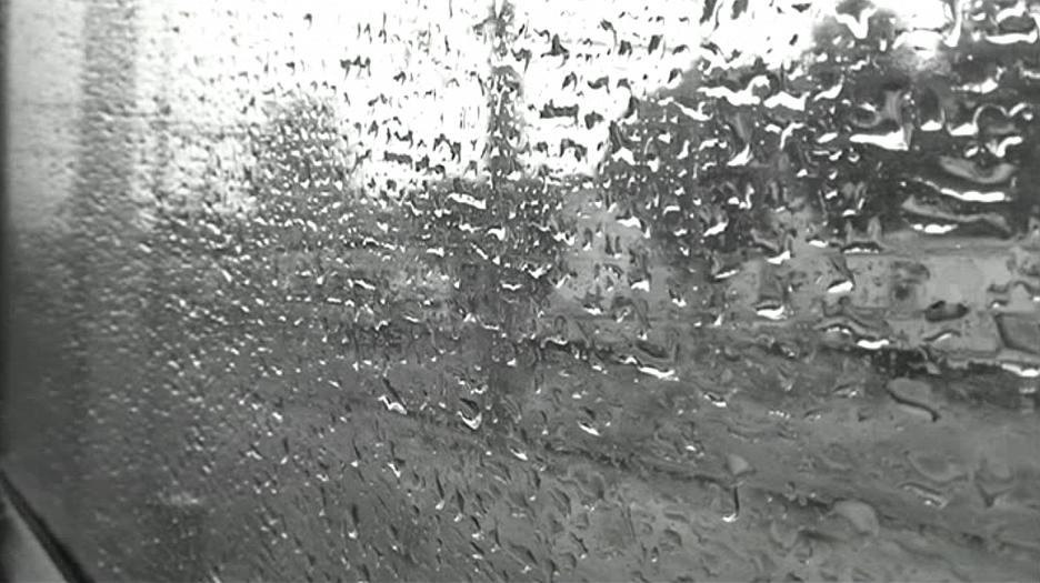 Jonas Mekas - José Luis Guerin: Carta 7. Carta a Jonas Mekas No.4 (2010 ...