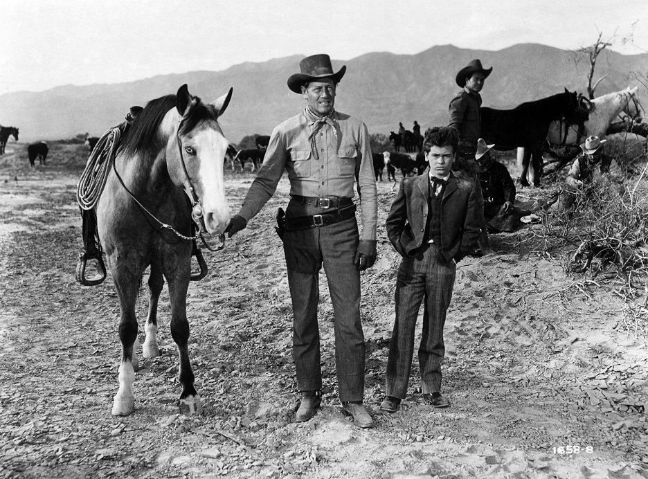 Cattle Drive (1951) | ČSFD.sk