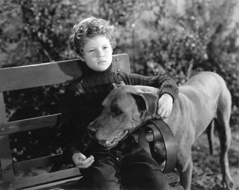 Little Orvie (1940) | ČSFD.cz