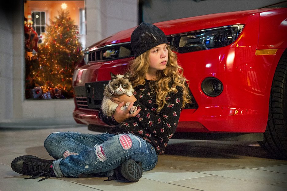 Grumpy Cat | Galerie - Van film | ČSFD.cz