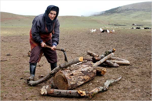 Gilane (2005) | ČSFD.cz