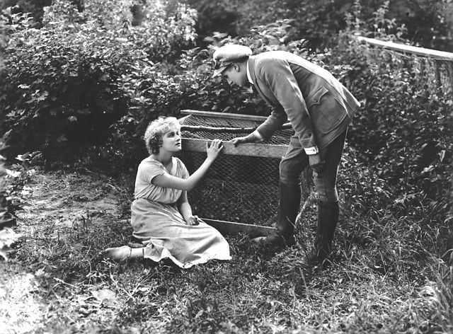 Pat a Patachon fotografují (1923) | ČSFD.cz