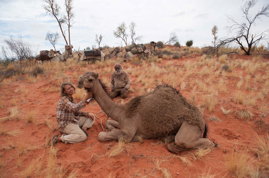 Stopy (2013) | ČSFD.cz