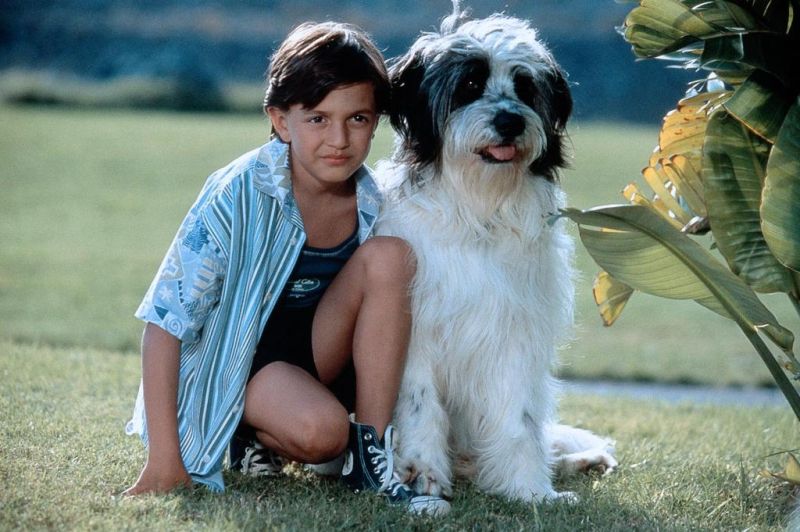 Tisíceré díky, Willy Wuffe (1996) | ČSFD.cz