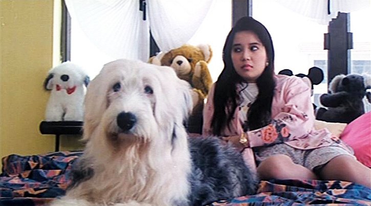 Happy Ghost V (1991) | ČSFD.cz