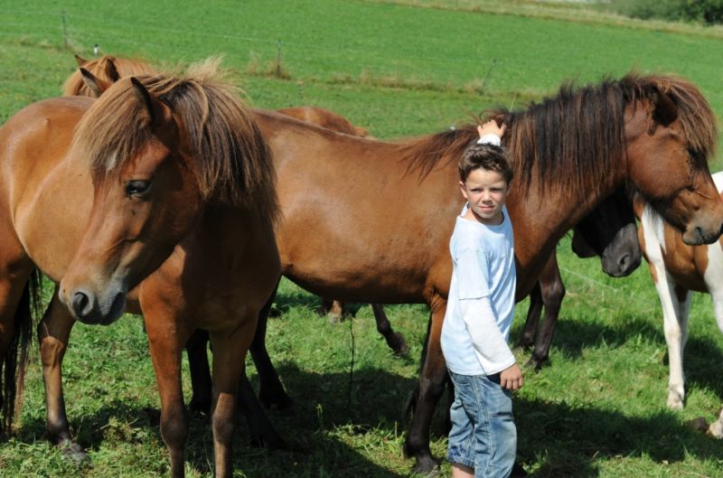 Zappelphilipp (2012) | Galerie - Z filmu | ČSFD.cz