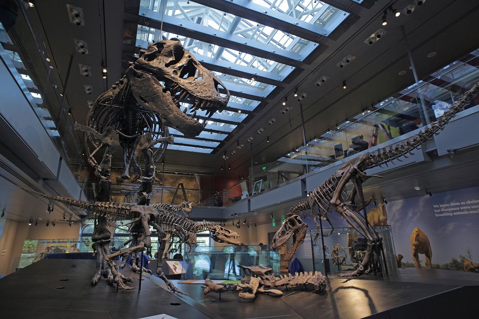 How to Build a Dinosaur (2011) | ČSFD.cz